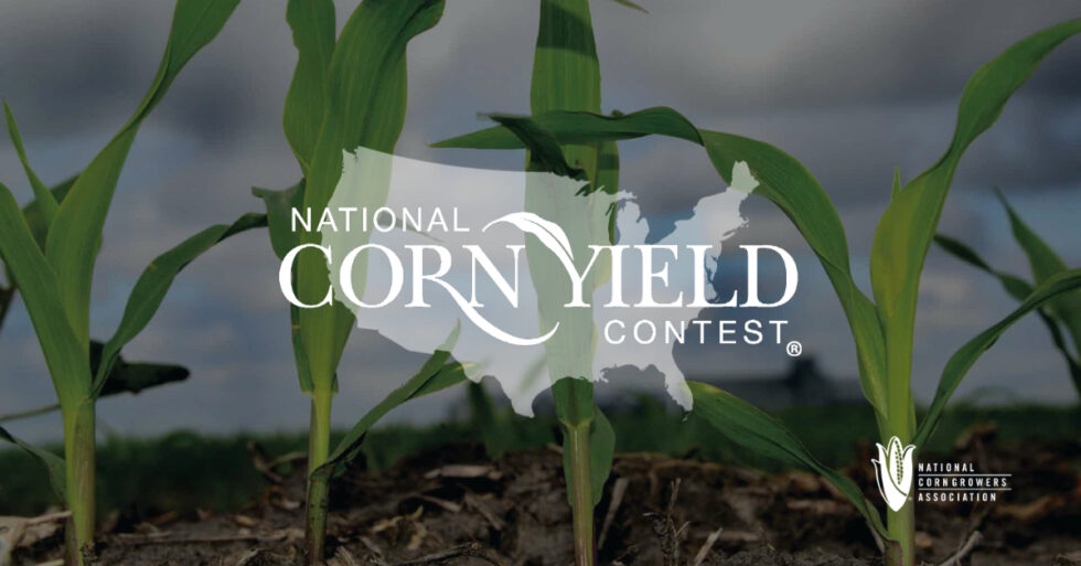 Creating a Legacy of Life-Long Learning with the 2023 National Corn ...